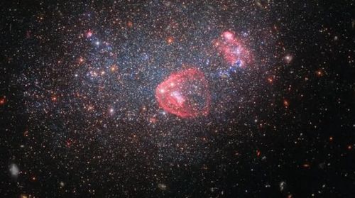 Momarandu Corrientes - Diario Digital